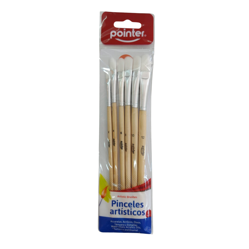 Set de pinceles pointer X6